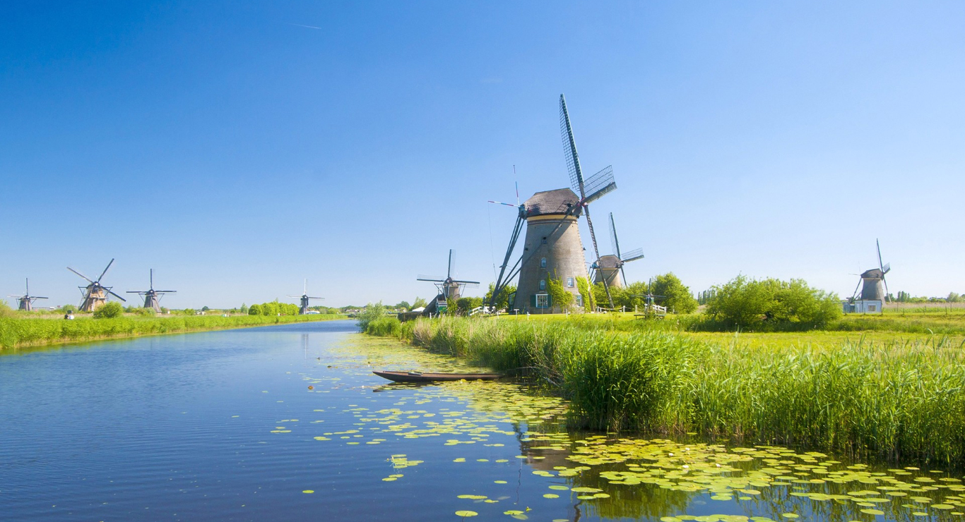 Activities - Feel Dutch